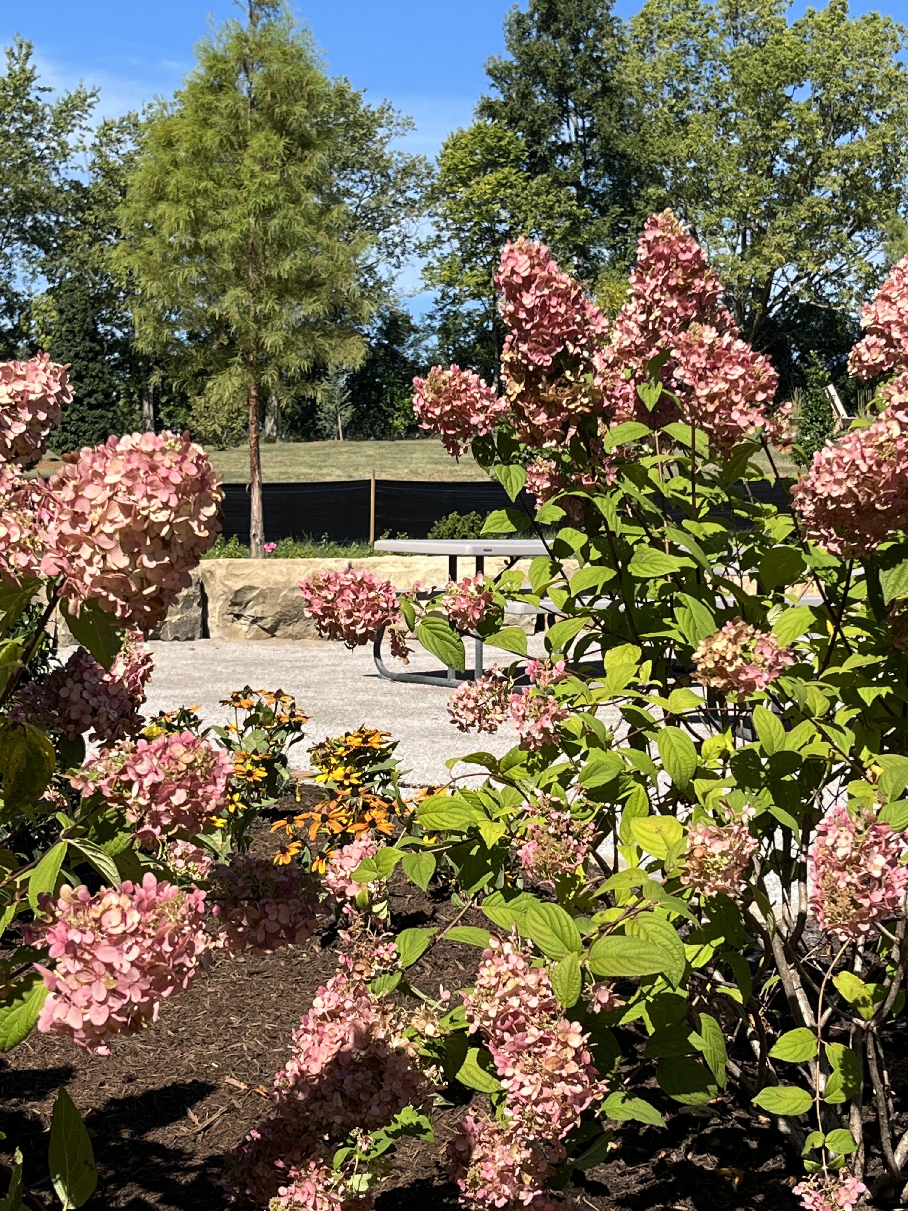 Arboretum – Kentucky Faith & Public History